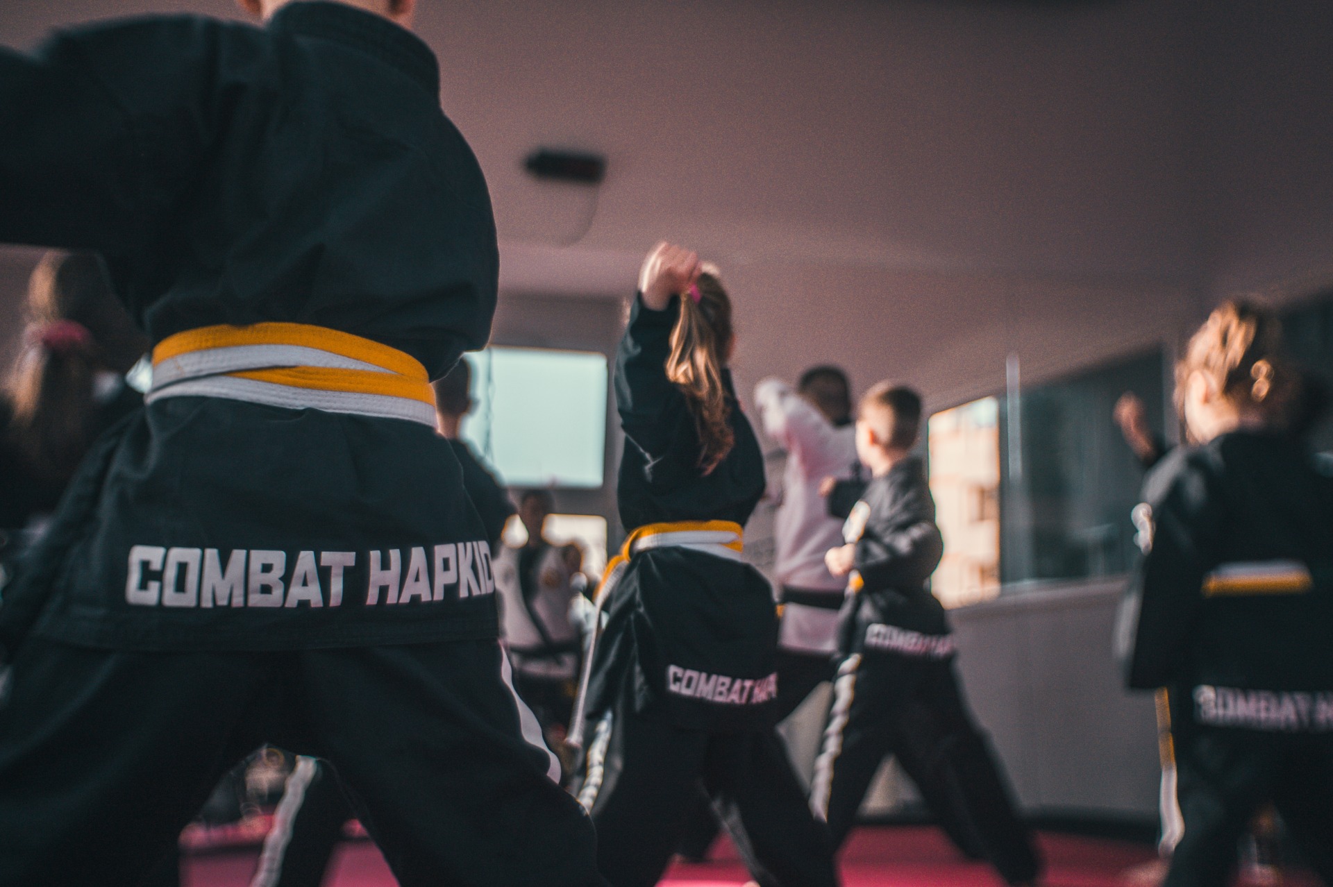 Γίνε Εκπαιδευτής :: COMBAT HAPKIDO TRAINING